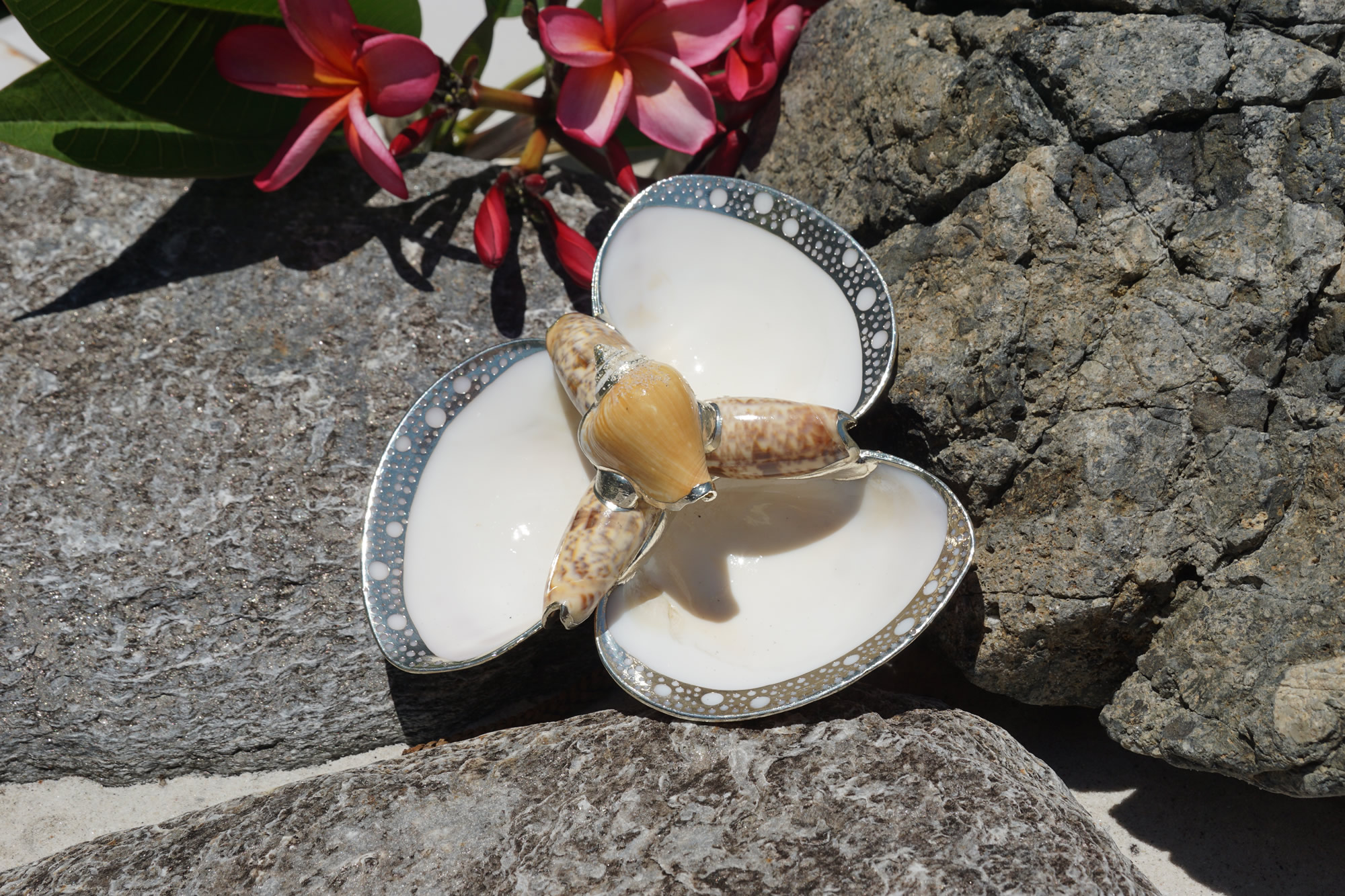 Chocolate Clam Trio with Silver Trim - Buy Shells Online - Shell Paradise