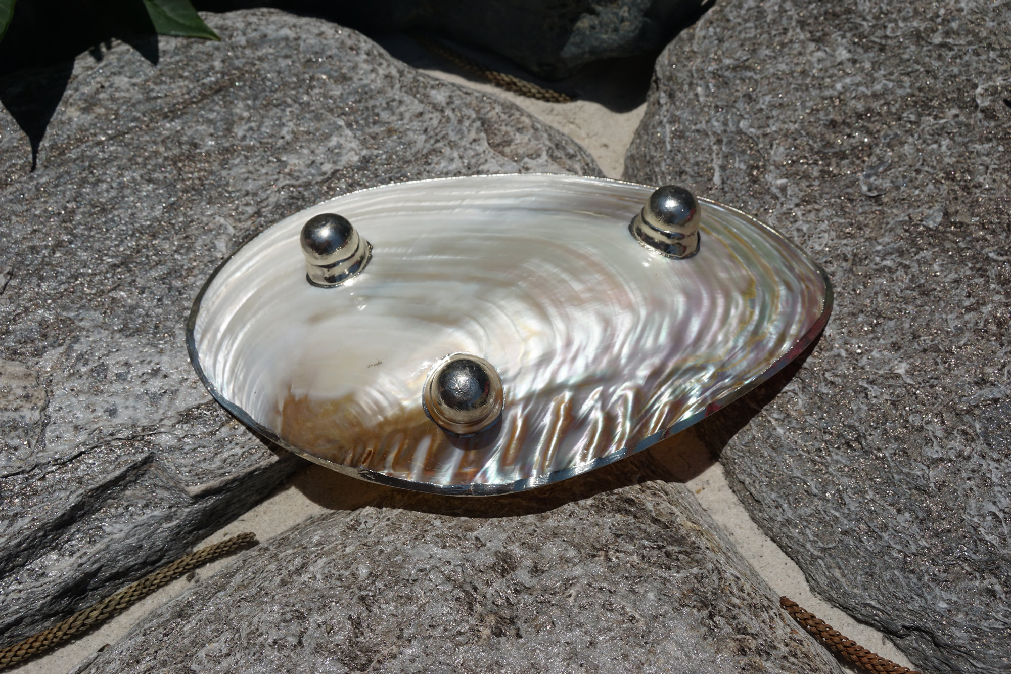 Silver Footed Cabebe 10-12 Inch