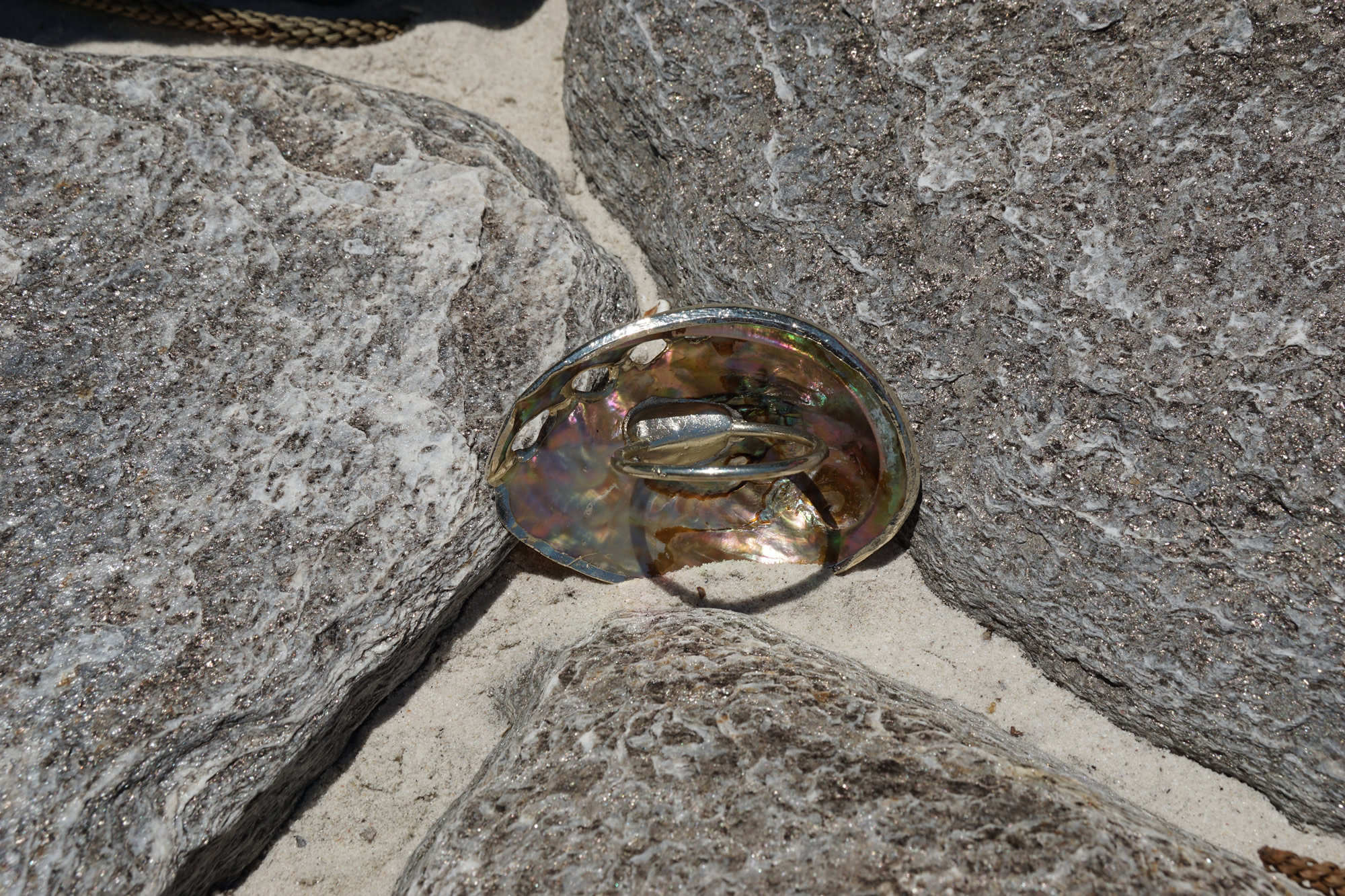 Blue Abalone Napkin Ring with silver trim 2.5-3inch - Buy Shells Online ...